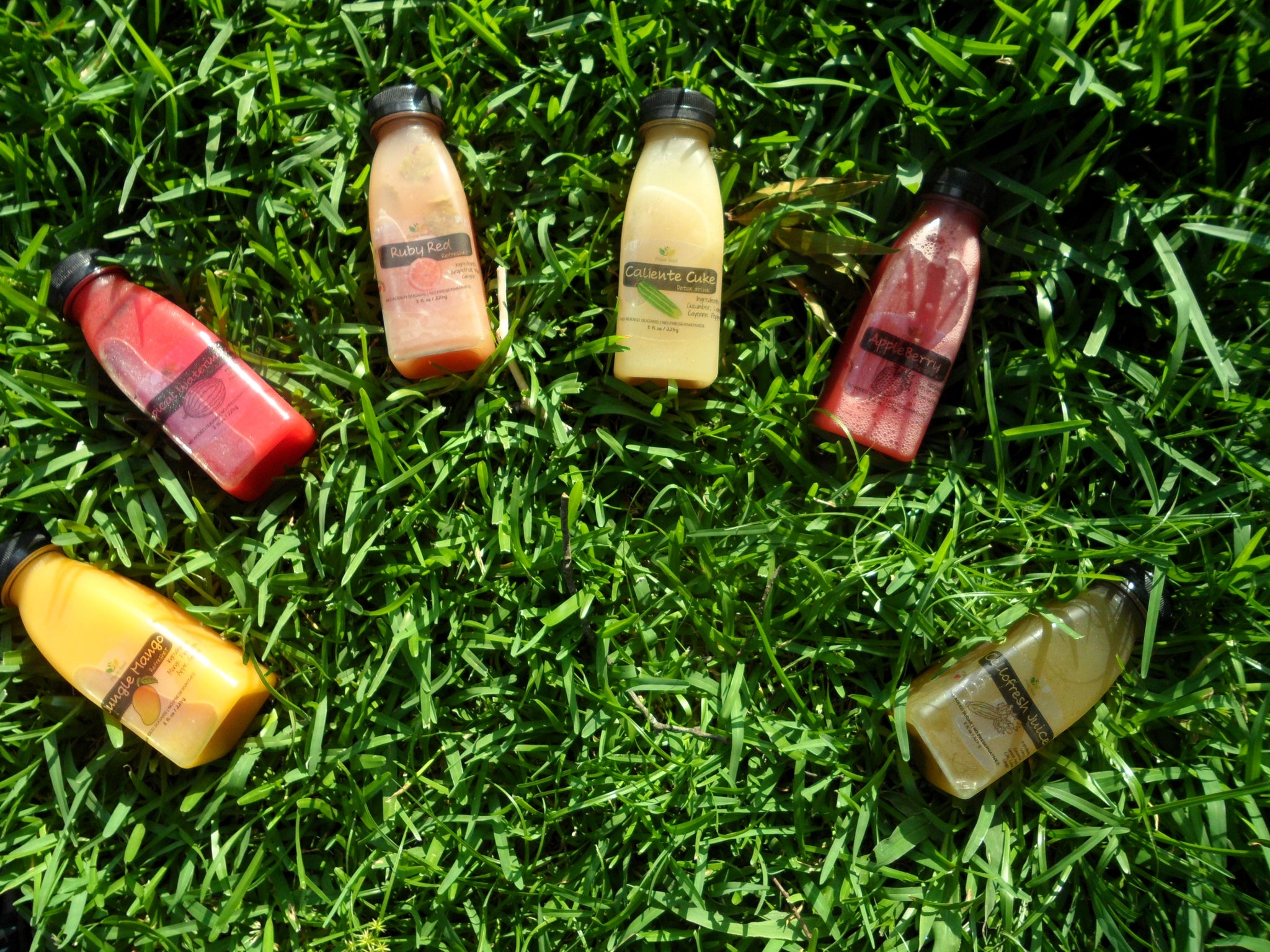 Plant Soul - Natural Care Products